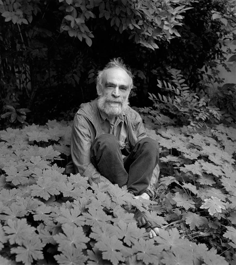 Gallery - Mathematicians - Mariana Cook