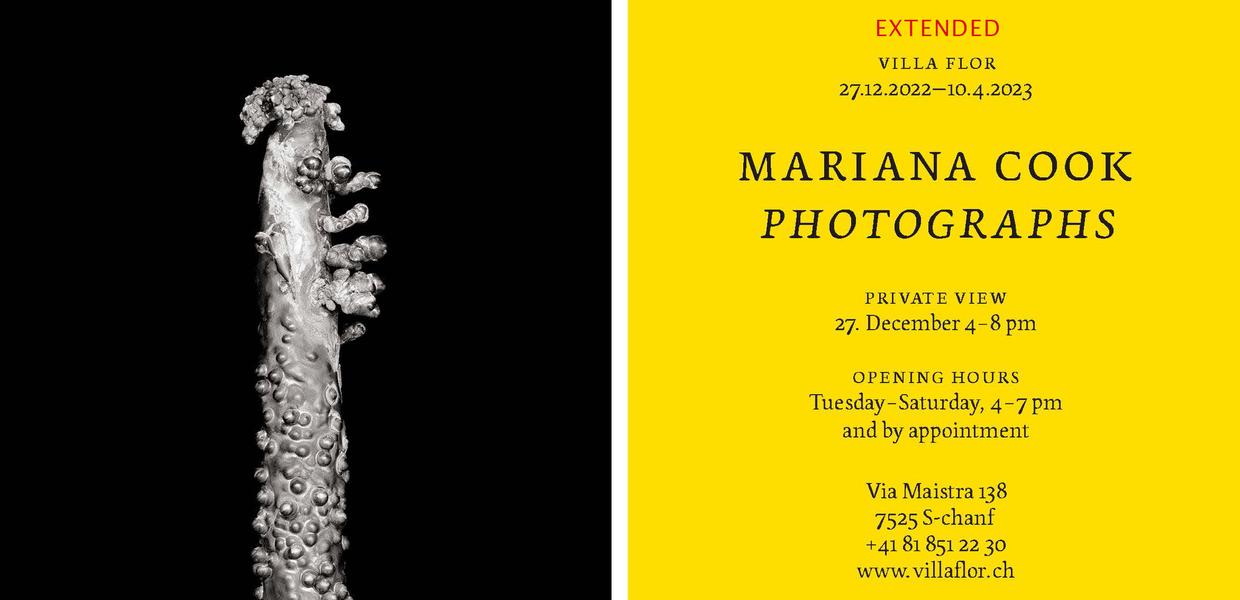 Exhibitions - Mariana Cook