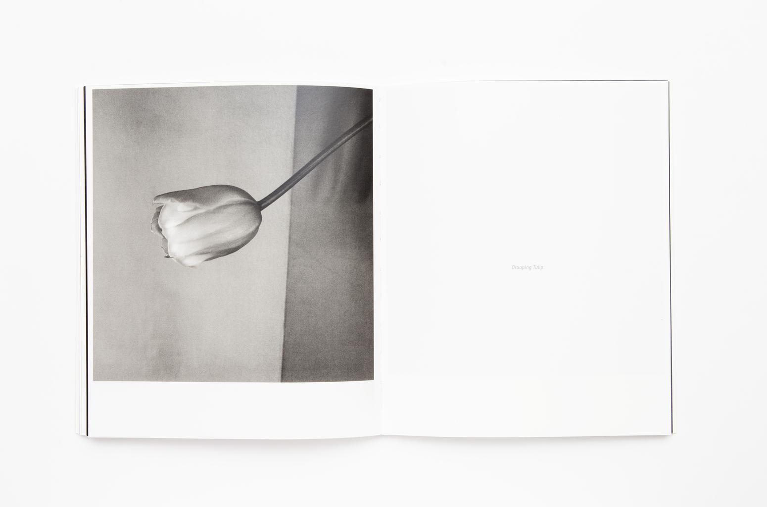 Books - Lifeline - Mariana Cook